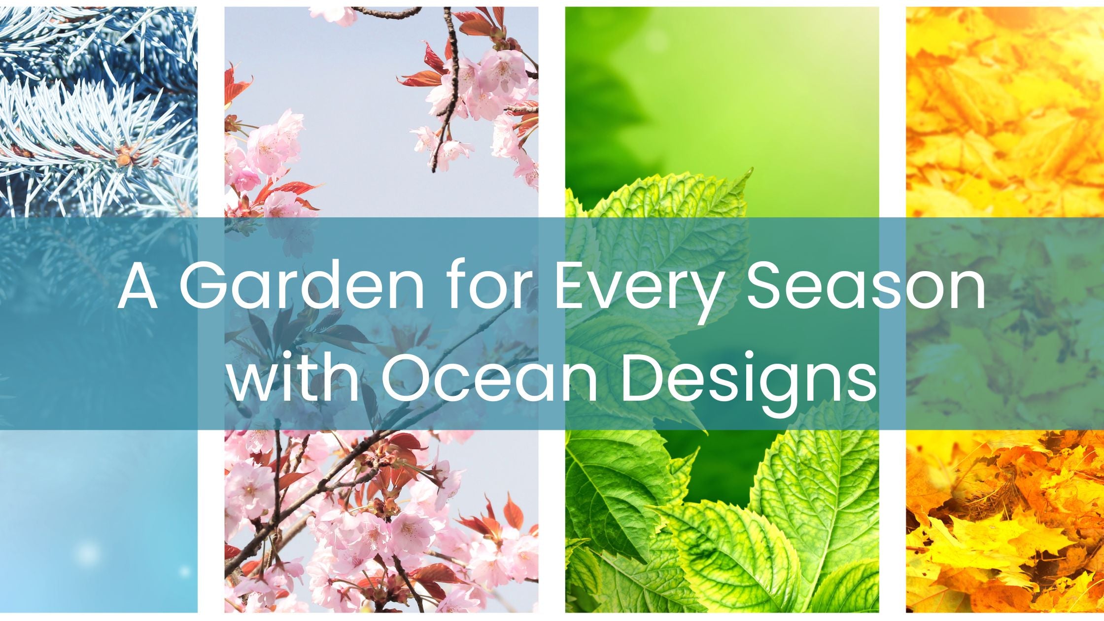 Seasonal Garden Makeovers: Refresh Your Outdoor Space for Every Season ...